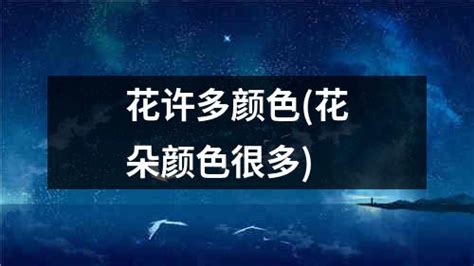 花许多颜色 花朵颜色很多 养花经验