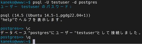 Postgresql 14 Pgadmin 4 Postgis 3 のインストール（ubuntu 上）
