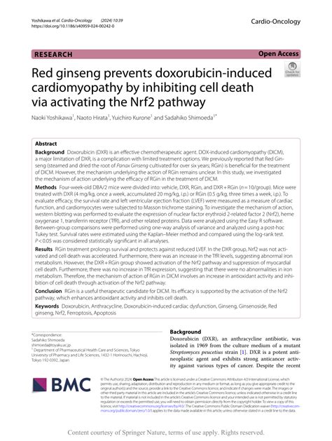 Pdf Red Ginseng Prevents Doxorubicin Induced Cardiomyopathy By Inhibiting Cell Death Via