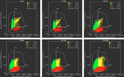 monitoring cell cycle dynamics during stem cell differentiation using