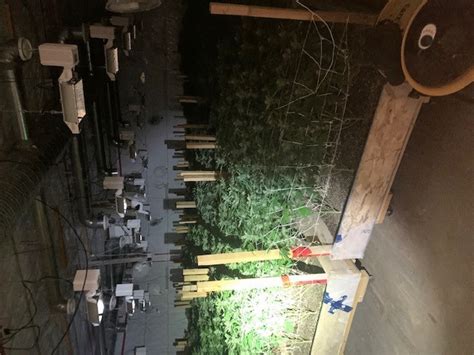 Drug Trafficking Investigation Leads To 13m In Drugs Seized Citynews
