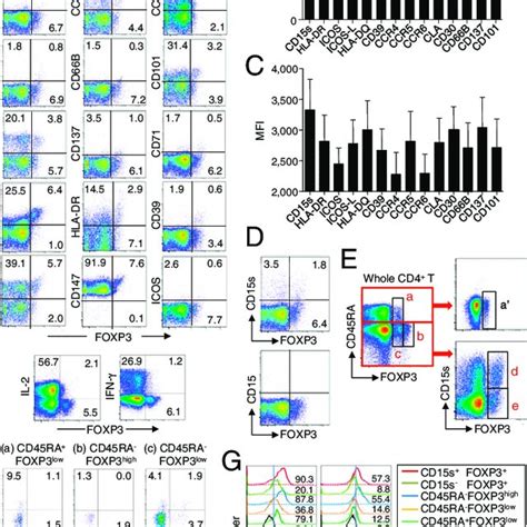 Cell Surface Markers For Foxp3 Cd4 T Cell Subpopulations A