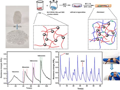 A Highly Stretchable Self Healing Elastomer With Rate Sensing