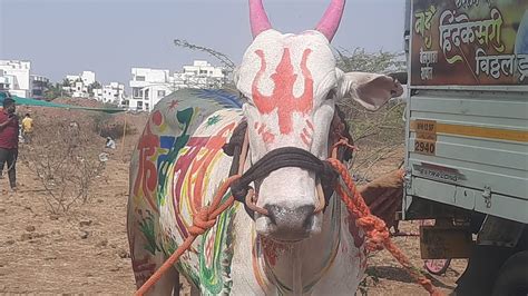 फलटण बैलगाडी मैदान लाईव्ह Youtube