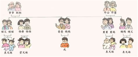 家庭树 Diagram Quizlet