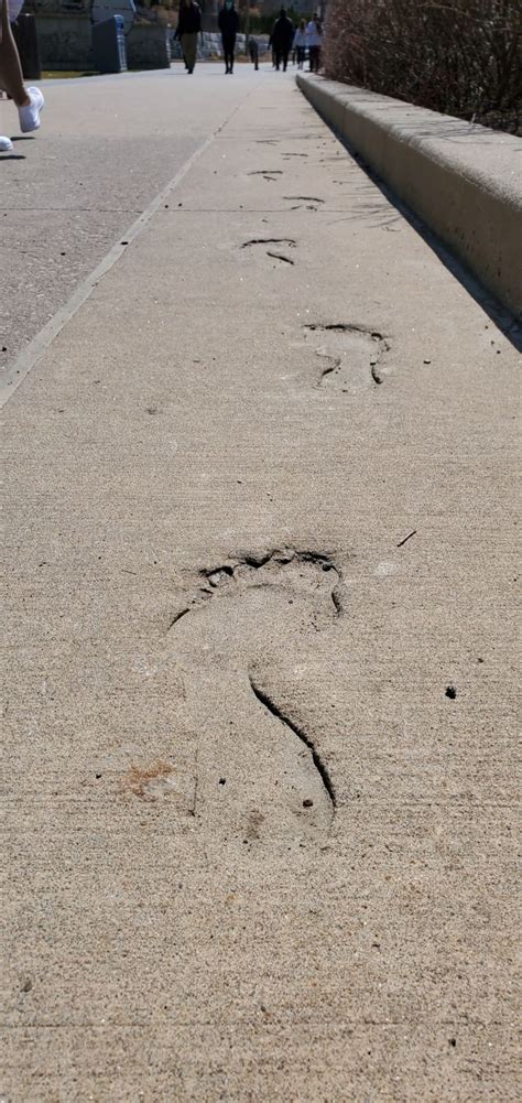 If Concrete Carbon Footprint Had A Face 😂 Hamed Layssi