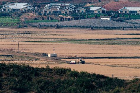 Corea Del Norte Anuncia A Sus Ciudadanos Que La Escasez De Alimentos