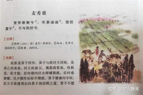 诗词6麦秀歌 知乎