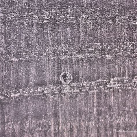 Image Of The Internal Structure Of A CFRP With A Woven Reinforcement Download Scientific