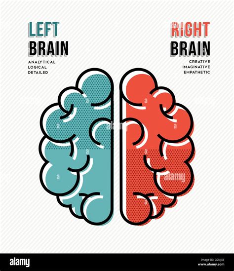 Concept Illustration Of Human Brain Hemispheres With Information About Left And Right Brains In