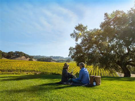 Passport To Dry Creek Valley Sonoma County Tourism