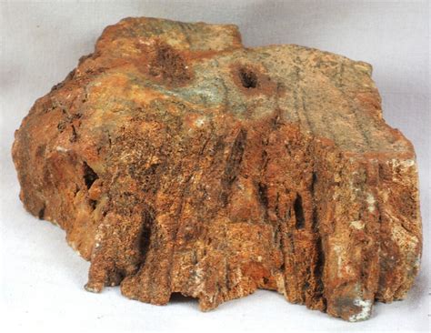 Strelley Pool Oldest Archaean Stromatolites