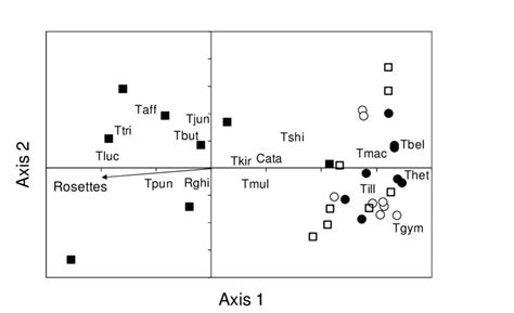 Canonical Correspondence Analysis Triplot For Trees And Bromeliads In Download Scientific
