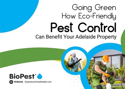 How Eco Friendly Pest Control In Adelaide Benefits Your Property Pest