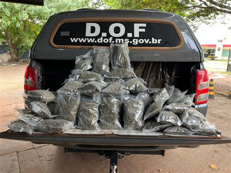 Homem que seguia mais de 10 quilos de skank para Três Lagoas é