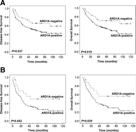 Peptide Mimic Isolated By Autoantibody Reveals Human Arrest Defective 1 Overexpression Is