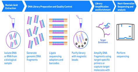 AUTOMATING NEXT GENERATION SEQUENCING WORKFLOWS AUTOMATIZZAZIONE DEI FLUSSI DI LAVORO DI