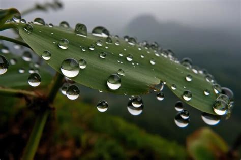 Premium Ai Image The Dance Of Water Merging Droplets In Misty Veils