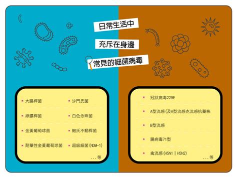 分辨細菌與病毒 Virusbom病毒崩