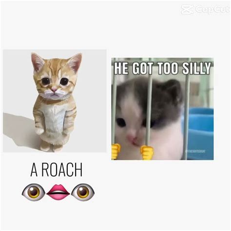 Silly Kittys Youtube