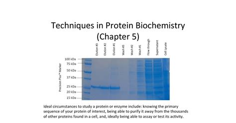 Protein Biochemistry Techniquespdf Docdroid