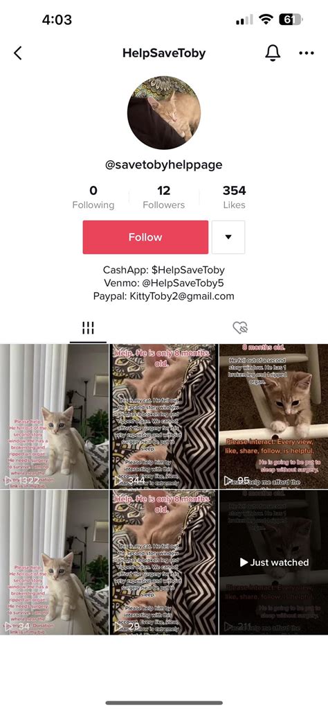 Are These Real R Scambait