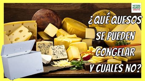 Todo Lo Que Necesitas Saber ¿el Queso Cheddar Se Puede Congelar