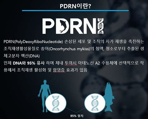 Pdrn 기반 ‘피부 복원 프로젝트 비타란 베일 벗다