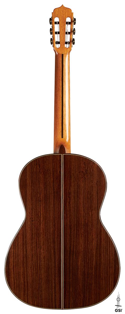 2025 Otto Vowinkel 2a Baritone Spin Guitar Gsi