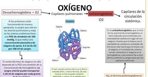 BLOG DE FISIOLOGÍA MEDICA UAS BRIANDA LÓPEZ Hemoglobina y transporte de