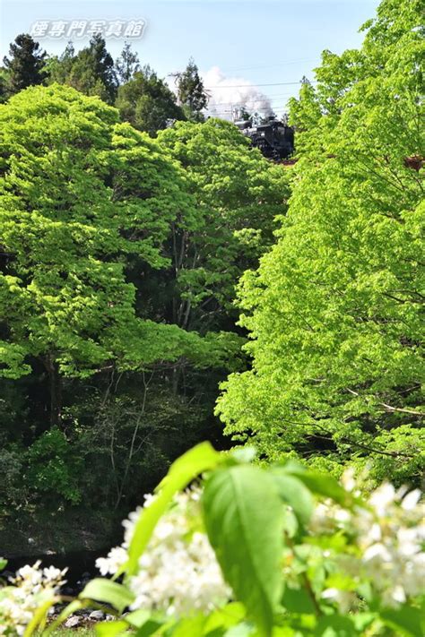 煙専門写真館 見慣れた風景に野の花を添えて 秩父鉄道