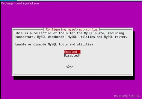 ubuntu系统下安装mysql的步骤详解