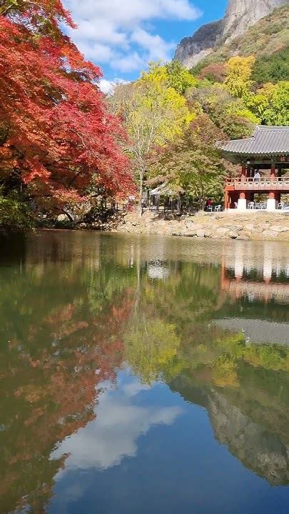 장성 백양사 쌍계루 Youtube