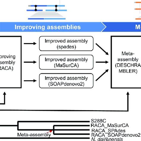 Data Flow Chart Of The Integrative Meta Assembly Pipeline Imap Short