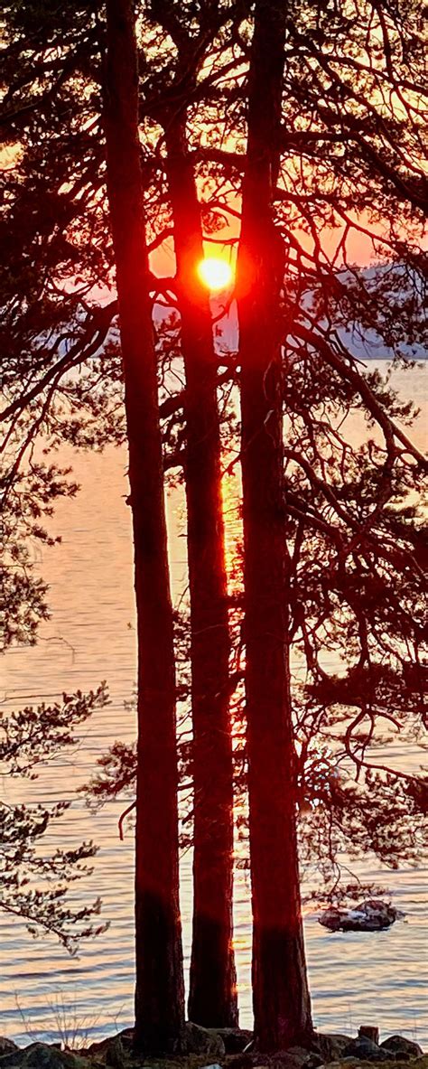 Michael Perlmutter On Linkedin Three Pines • Stockholm Archipelago