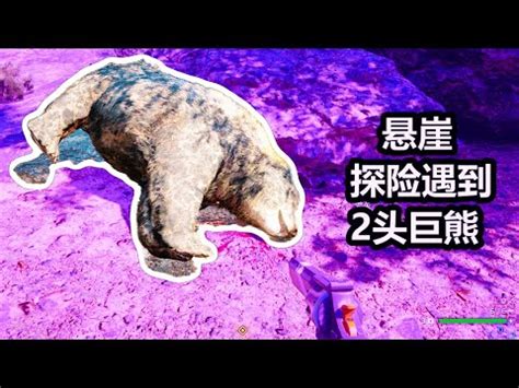 孤岛惊魂 新曙光 火焰解说 第12期 悬崖探险遇到2头巨熊 YouTube