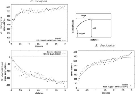 Spatial Correlation In Observations Of Cattle Infestation With B