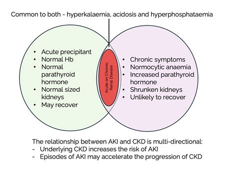 Acute Kidney Injury AKI Vs Chronic Kidney Disease CKD Geeky Medics