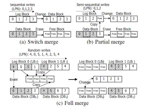 Basics NewMaxx