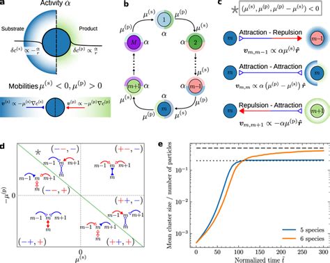 Properties And Interactions Of Catalytically Active Particles A The Download Scientific Diagram