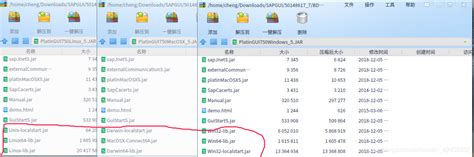 linux上安装sapgui 附安装包 sap gui for linux csdn博客