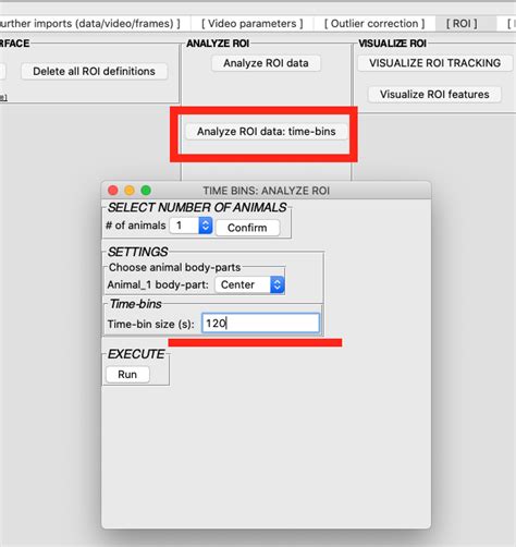 Analyze ROI With Specific Time Frame Issue 222 Sgoldenlab Simba