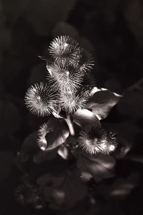 Eric Constantineau Photographer
