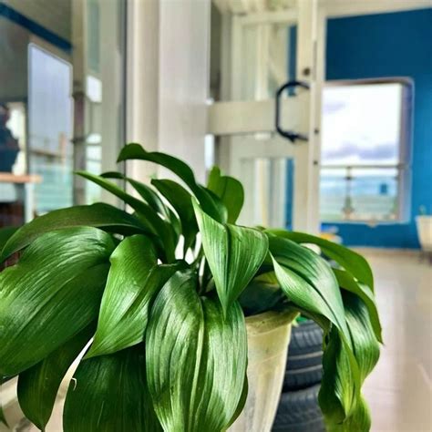 Start Innovation Hub Nigeria On Linkedin Starthubcommunity Startinnovationhub Starthubtech