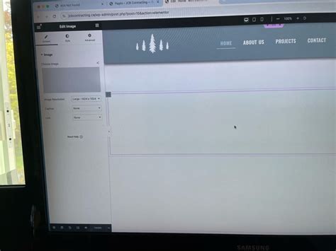Images Not Showing In Editor Relementor