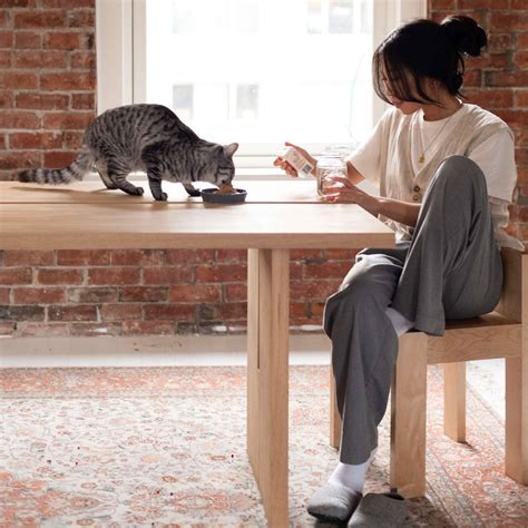 5 Best Wet Cat Foods Of 2024 Tuft Paw