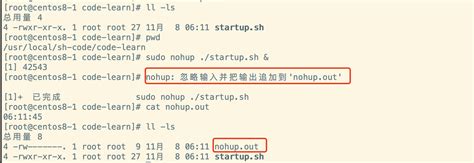 nohup命令详解 CSDN博客