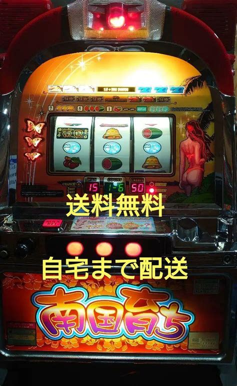 パチスロ実機 号機 南国育ち 不要機付 パチンコ パチスロ