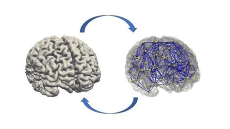 Physicians Brain Digital Twin