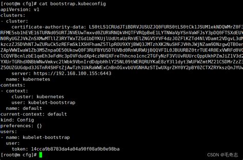 kubernetes 核心组件 kubelet kubelet服务全解析 csdn博客